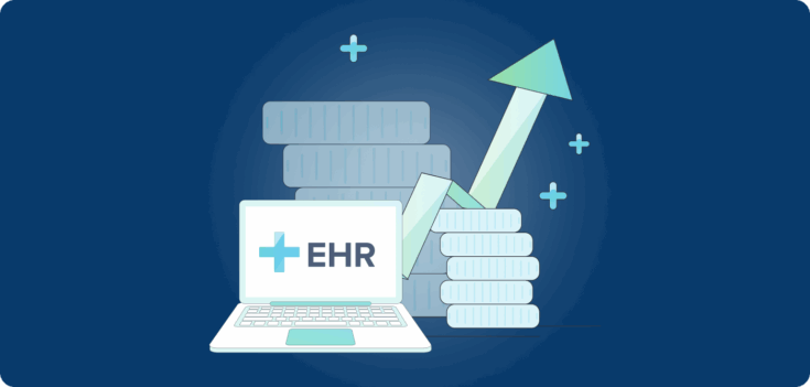What is the Cost of Implementing EHR? - Vim